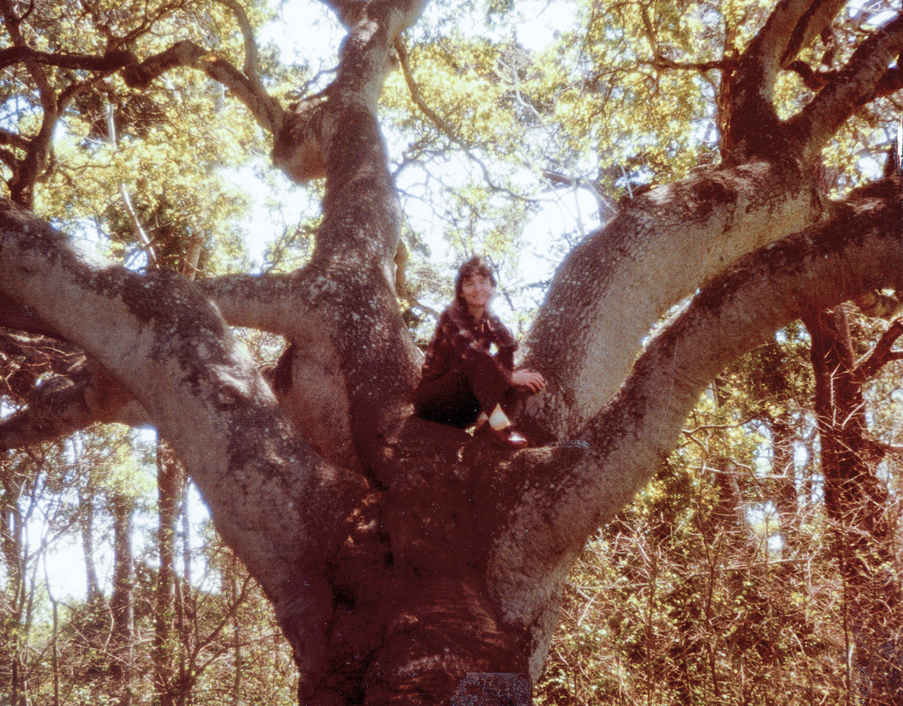 Gray Area Episode 06: Unless Death Wants To Fight – Voices of Monterey Bay