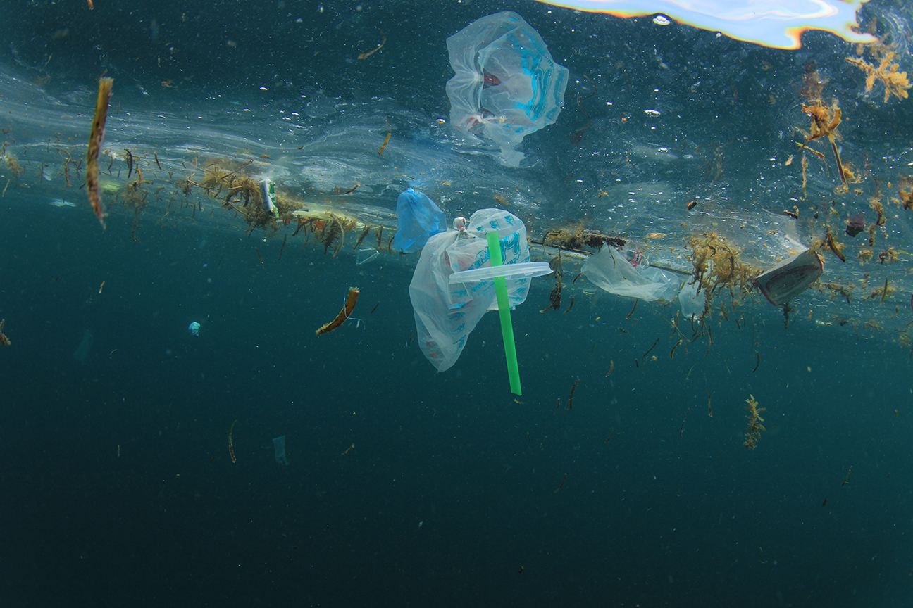 War on Plastic – Voices of Monterey Bay