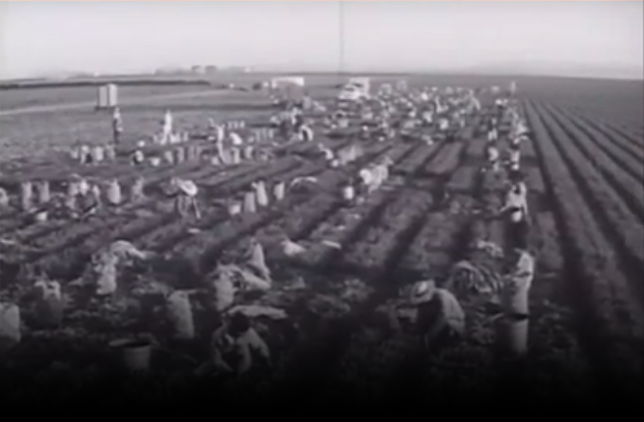 Gambatte Kimashita – Voices of Monterey Bay