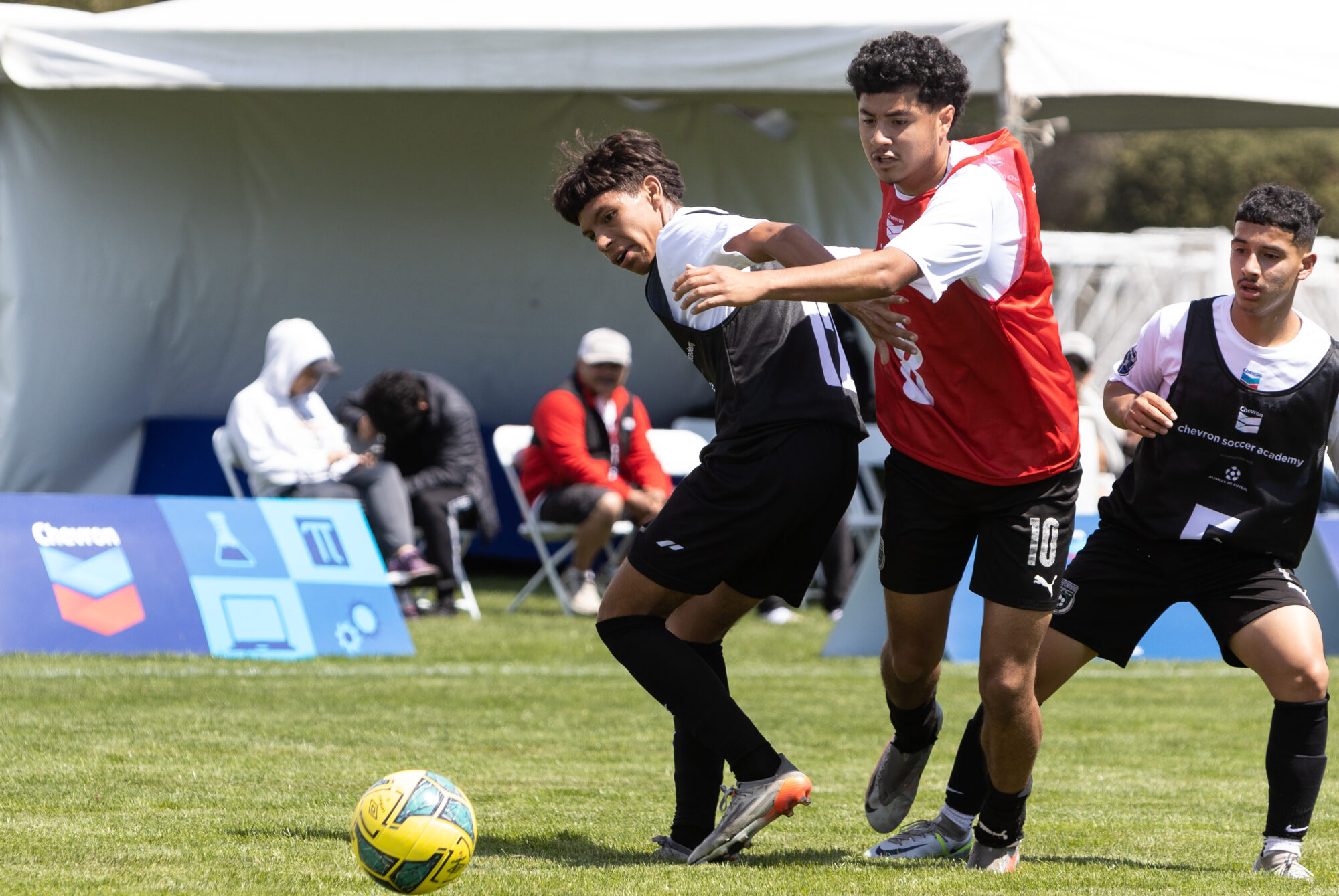 Field of Dreams – Voices of Monterey Bay