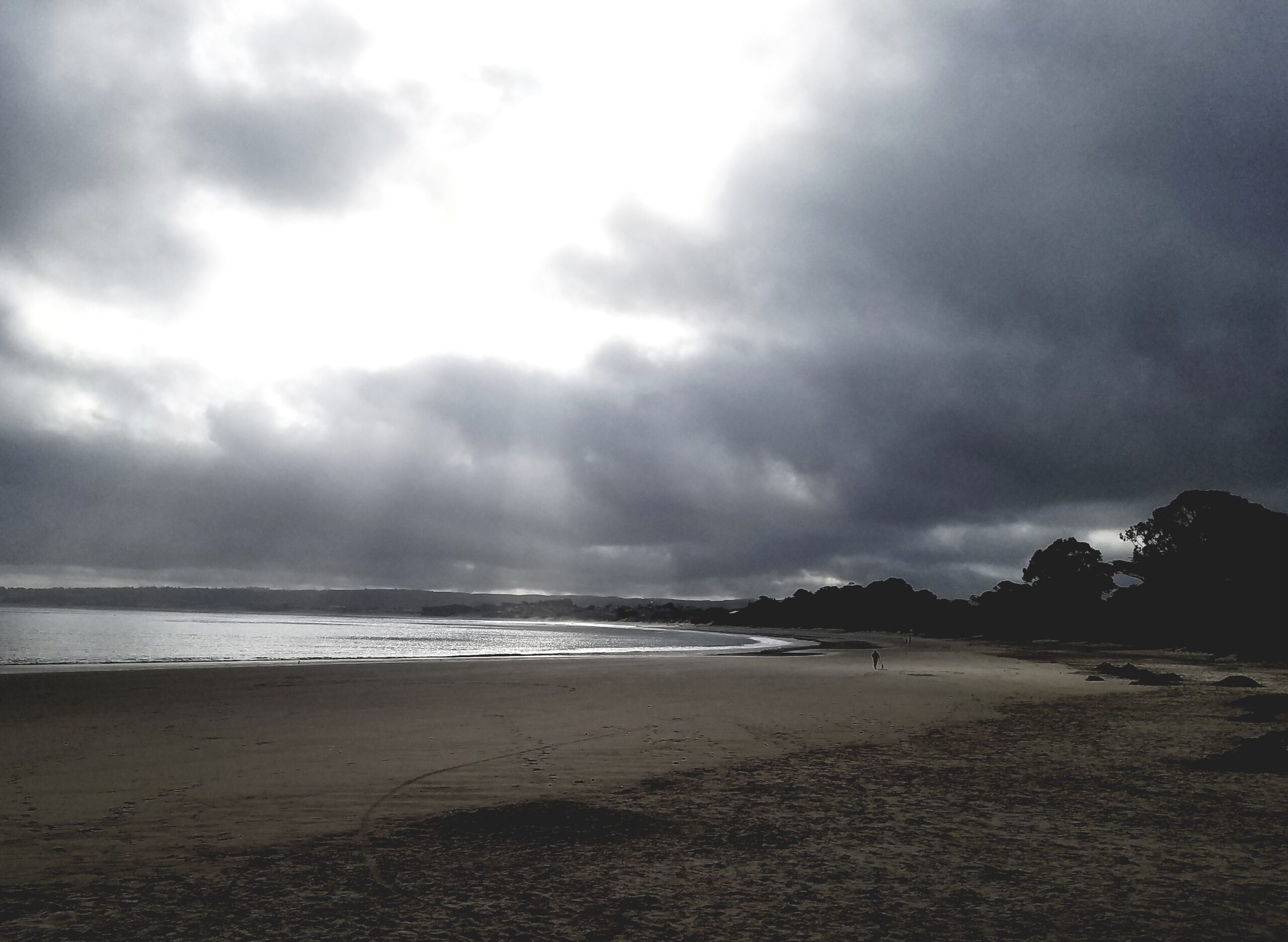 Thank you | Gracias – Voices of Monterey Bay