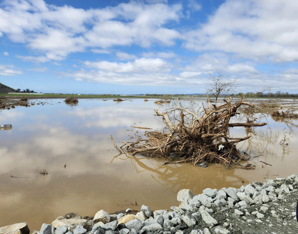 The power of water – Voices of Monterey Bay